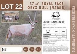 Namibia Stud Game Breeders Auction 10/05